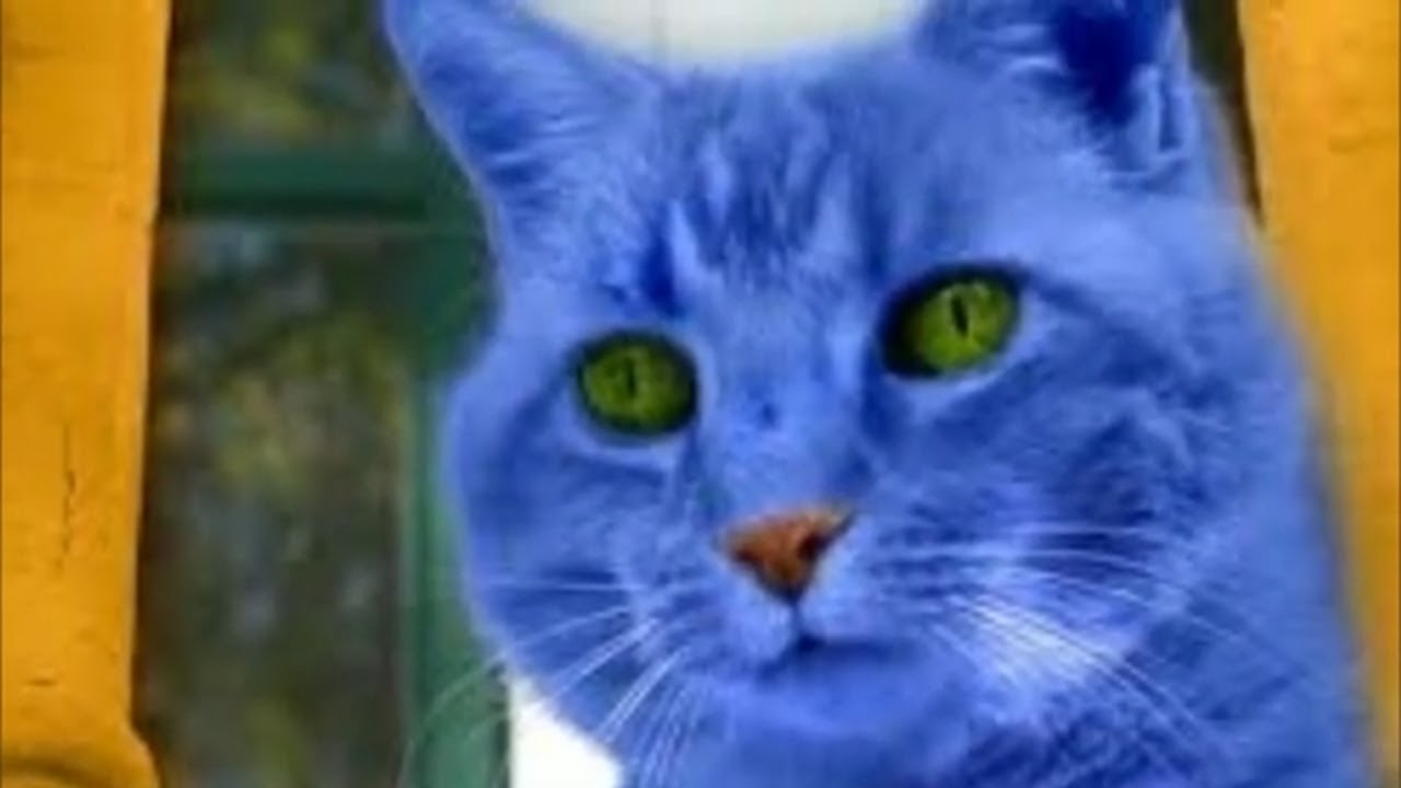 Un gato en la oscuridad-Roberto Carlos / cover-Rubén Giaimo - YouTube