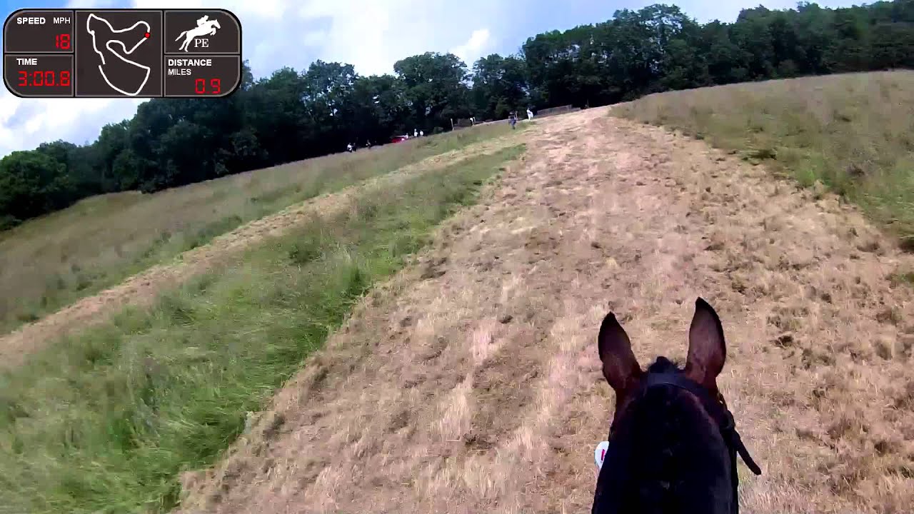 Alice Pearson & Amazing Jigsaw XC at Chepstow 28th June 2014 - YouTube
