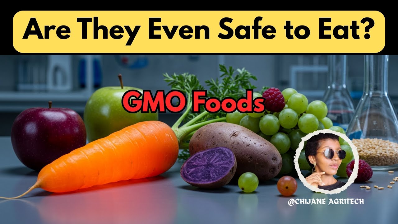 Exploring the Benefits and Risks of Genetically Modified Foods (GMO) # ...