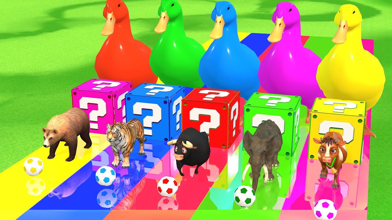 Long Slide Game With Lion Elephant Cow Gorilla Zebra T-rax Tiger 3d ...