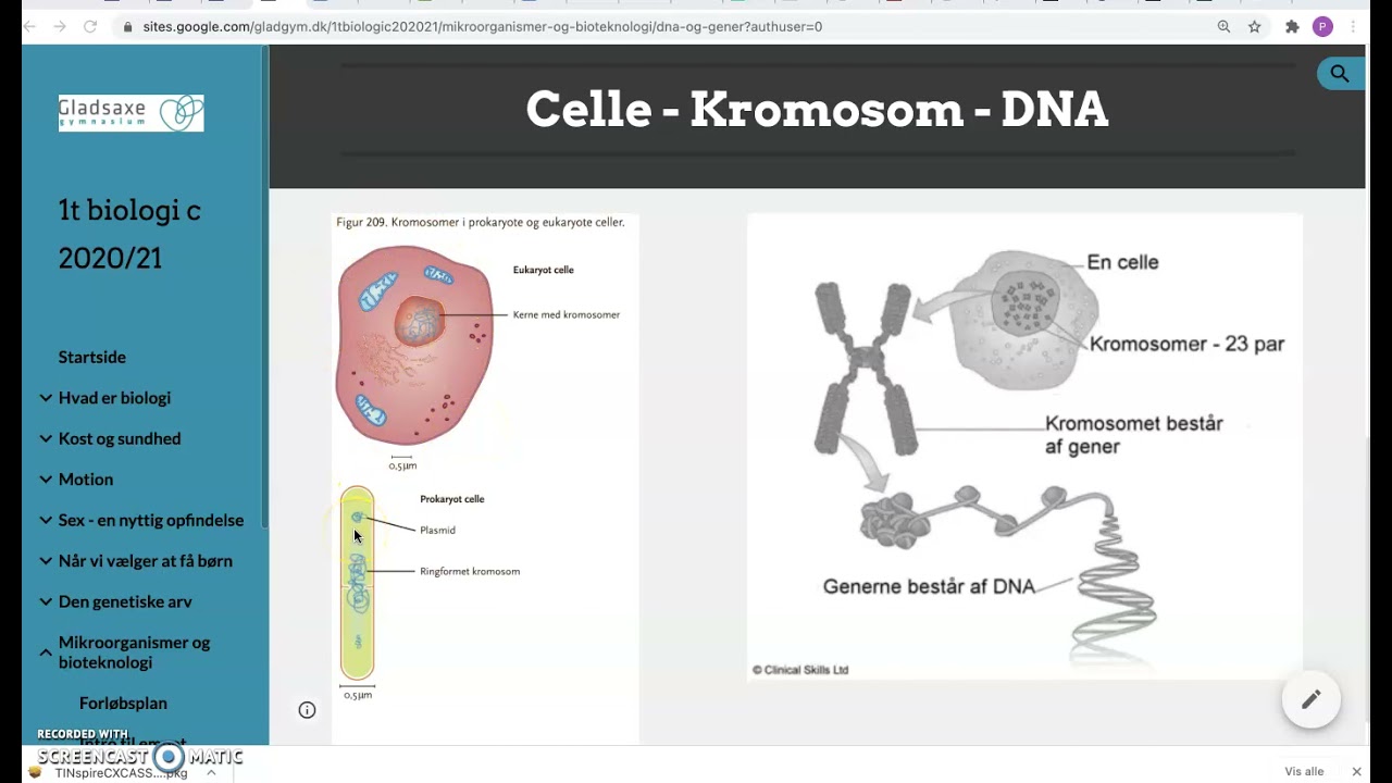 DNA og gener - YouTube