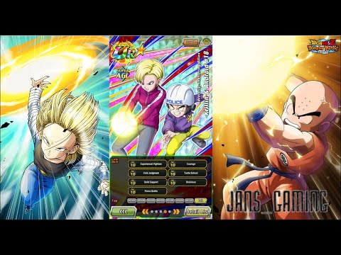 ARE THEY WORTH RUNNING?? 69% AGL KRILLIN AND 18 10 LINKS RUN!! (DBZ ...