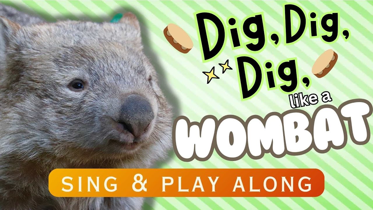 Dig, Dig, Dig like a Wombat Sing & Play - YouTube