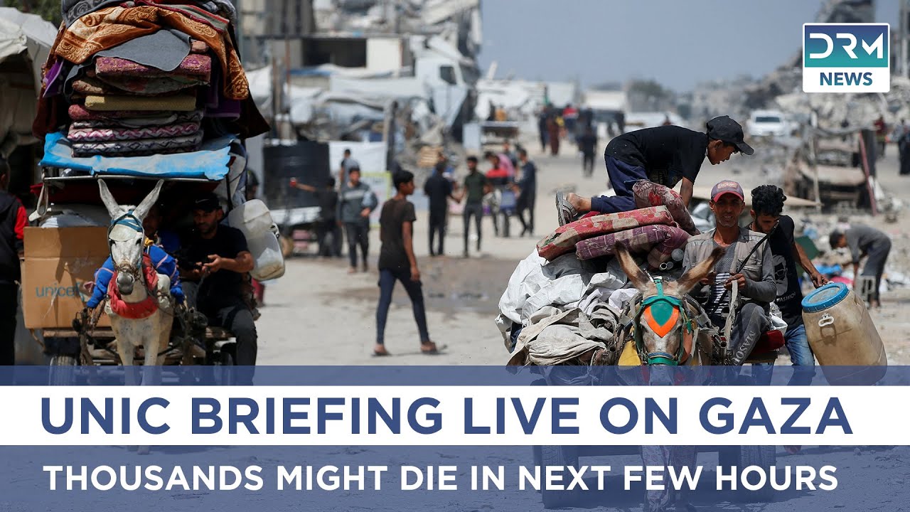 LIVE: UNIC Director’s Press Briefing in Geneva on Gaza & Syria - YouTube