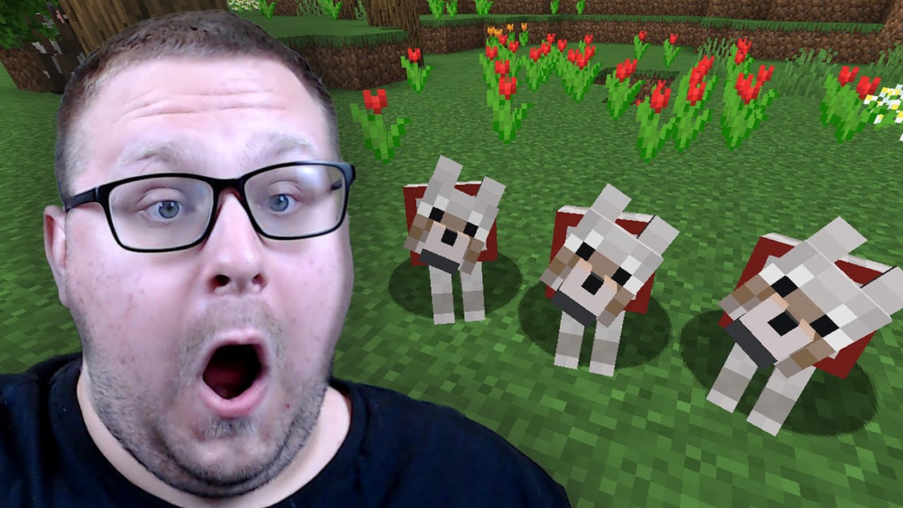 Finally getting Minecraft dogs!!! | Minecraft Survival (1.20) | part 64 ...