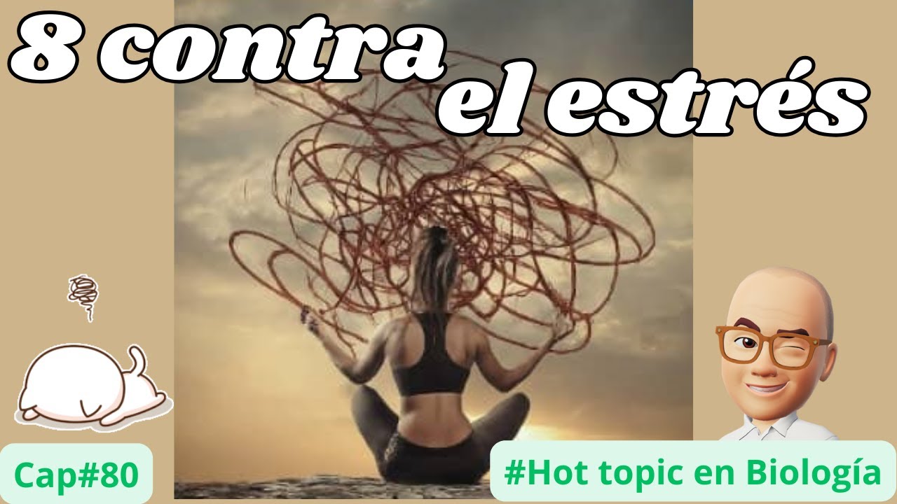 8 contra el [ESTRES] Cap#80 #estres - YouTube