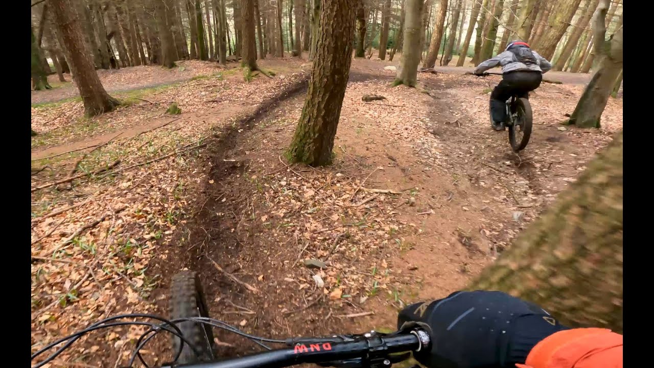 Tollymore MTB - Fallen Tree trail following Colly - YouTube
