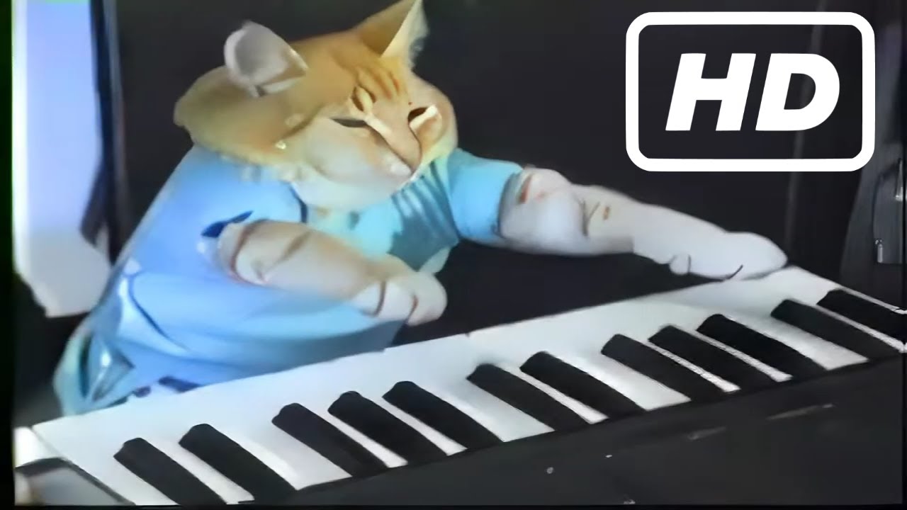 Charlie Schmidt's Keyboard Cat! THE REMASTERED VERSION! FULL HD - YouTube