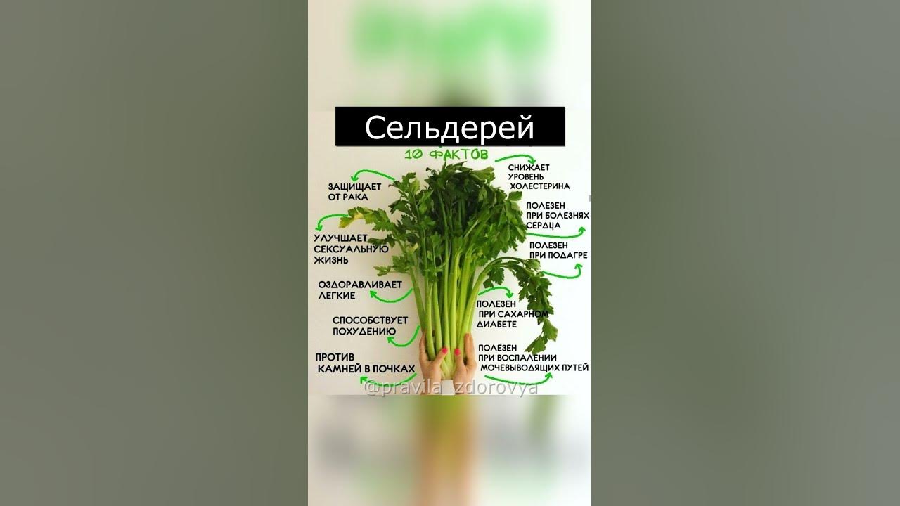 А вы знали Youtube