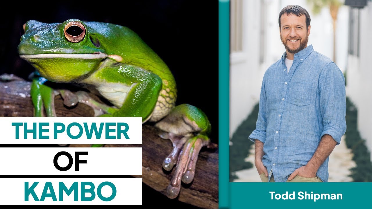 The Power of Kambo with Todd Shipman - YouTube