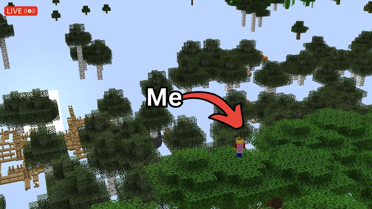 Minecraft with NO TERRAIN 🔴 LIVE - YouTube