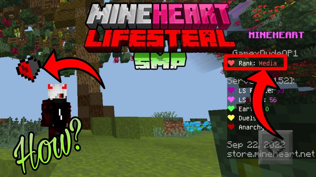 I Got Media Rank In This Lifesteal SMP!🤩🤯🥳 | Mineheart | Minecraft ...