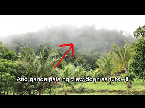 Sobrang ganda palang ng view sa taas ng bundok ,sobrang lamig ng hangin ...