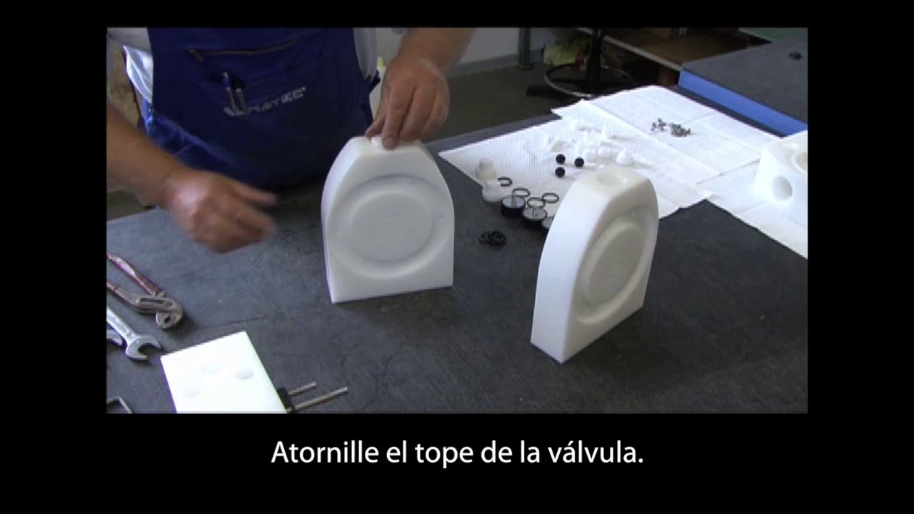 Will Pump (Ensamble bomba neumática doble diafragma Almatec Serie E ...