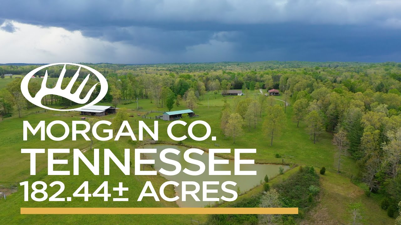 Morgan TN 182.44± Acres - YouTube