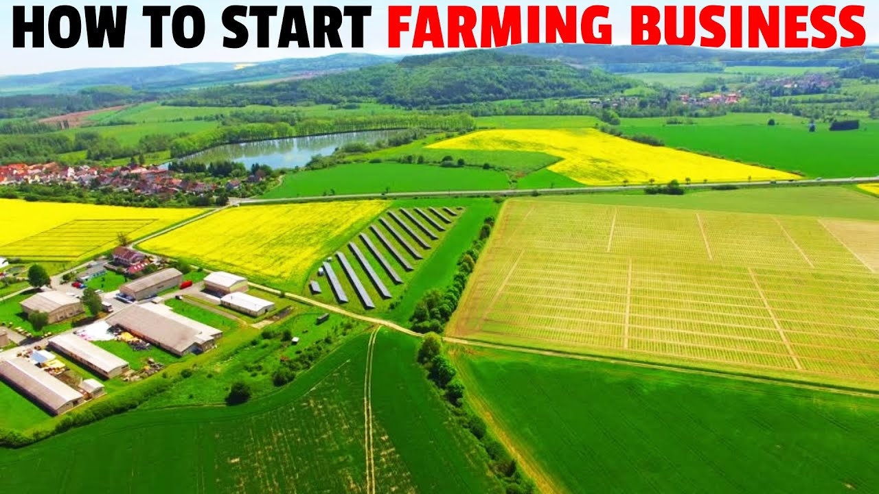 How To Start Farming Business | Agriculture Business Ideas - YouTube
