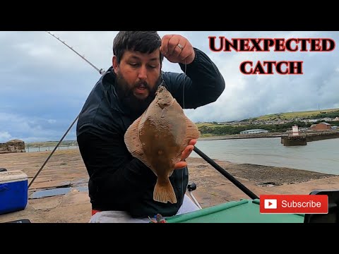 Unexpected Fish Caught & I got STUNG on MY Face - YouTube