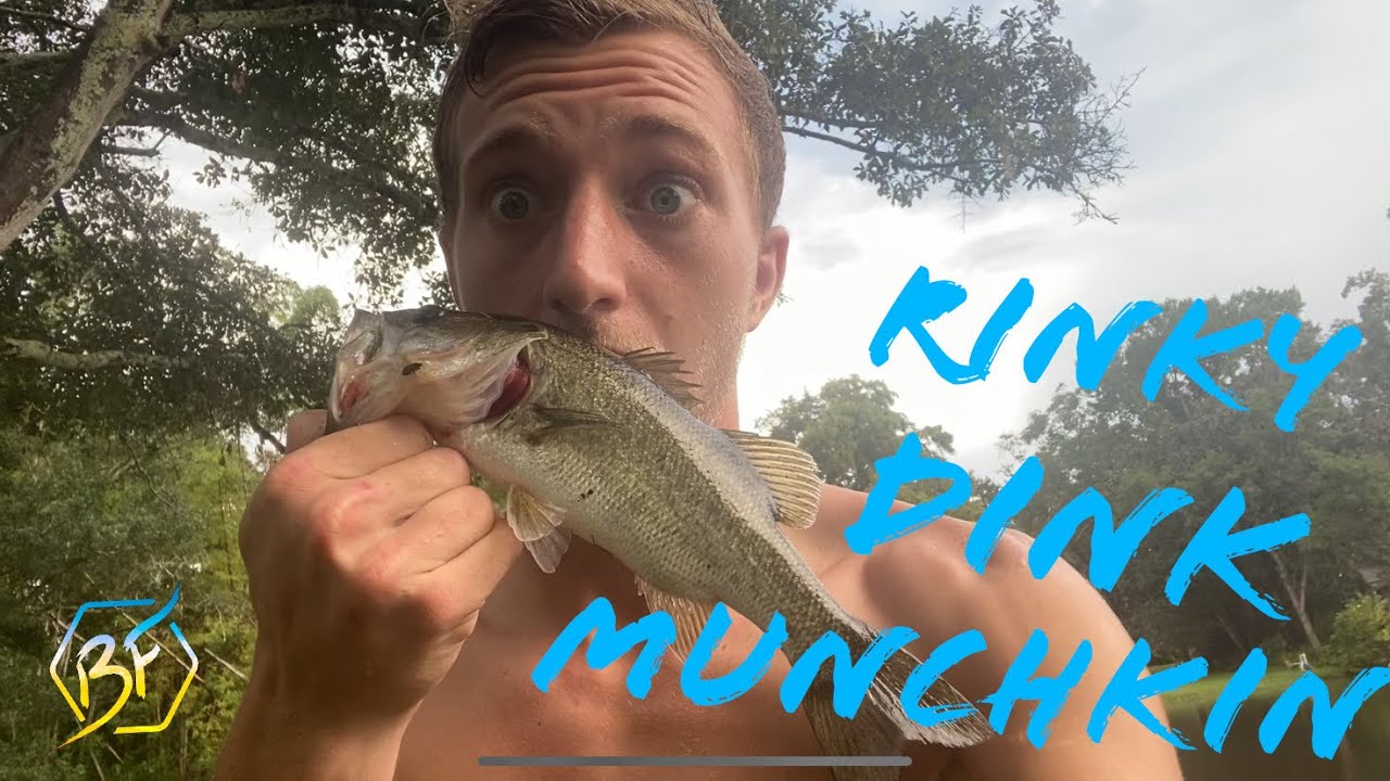 Rinky Dinky Munchkin | Bass Chronicle's Ep. 1 - YouTube