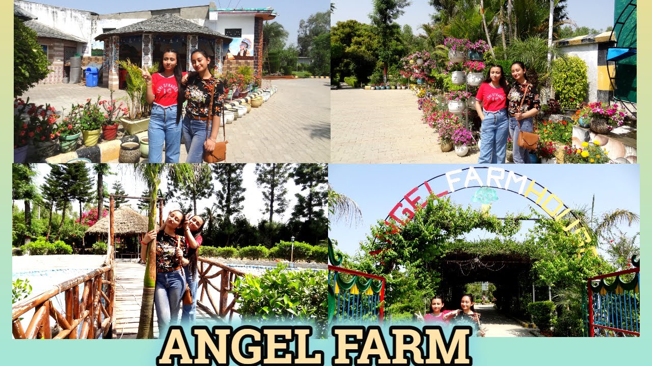 ANGEL FARM |BEST LUXURY FARM IN DHOLWAHA ROAD HOSHIARPUR VLOG | - YouTube