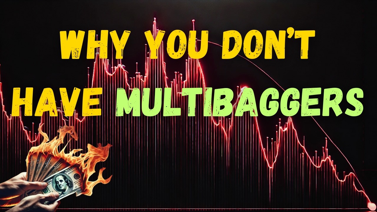 Why You Don't Have MULTIBAGGERS.. - YouTube