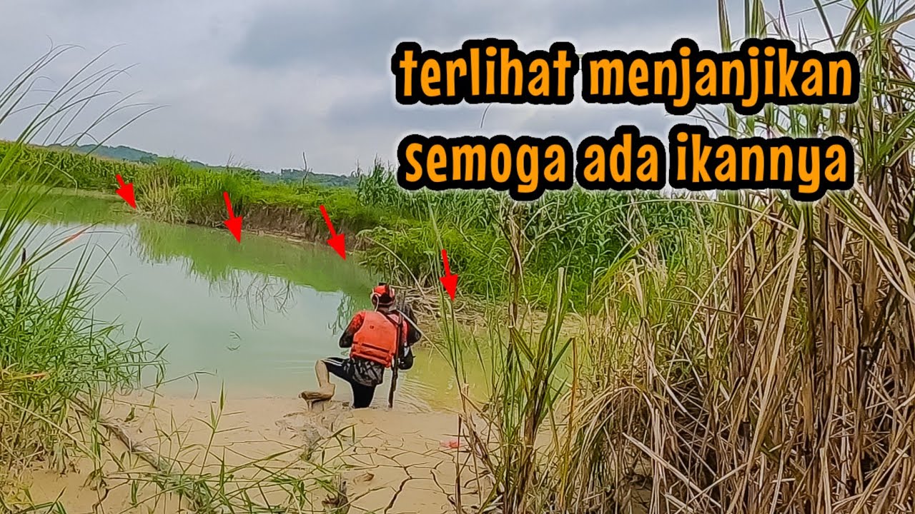 SPOT BARU‼️ KALAU TAK DICOBA MANA TAHU HASILNYA || mancing ikan nila di ...