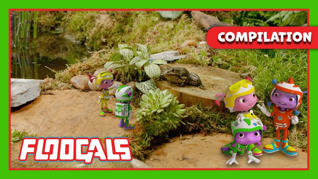 The Floogals Investigate Different ANIMALS! 🐸🐘 | Floogals | 20+ MINUTE ...