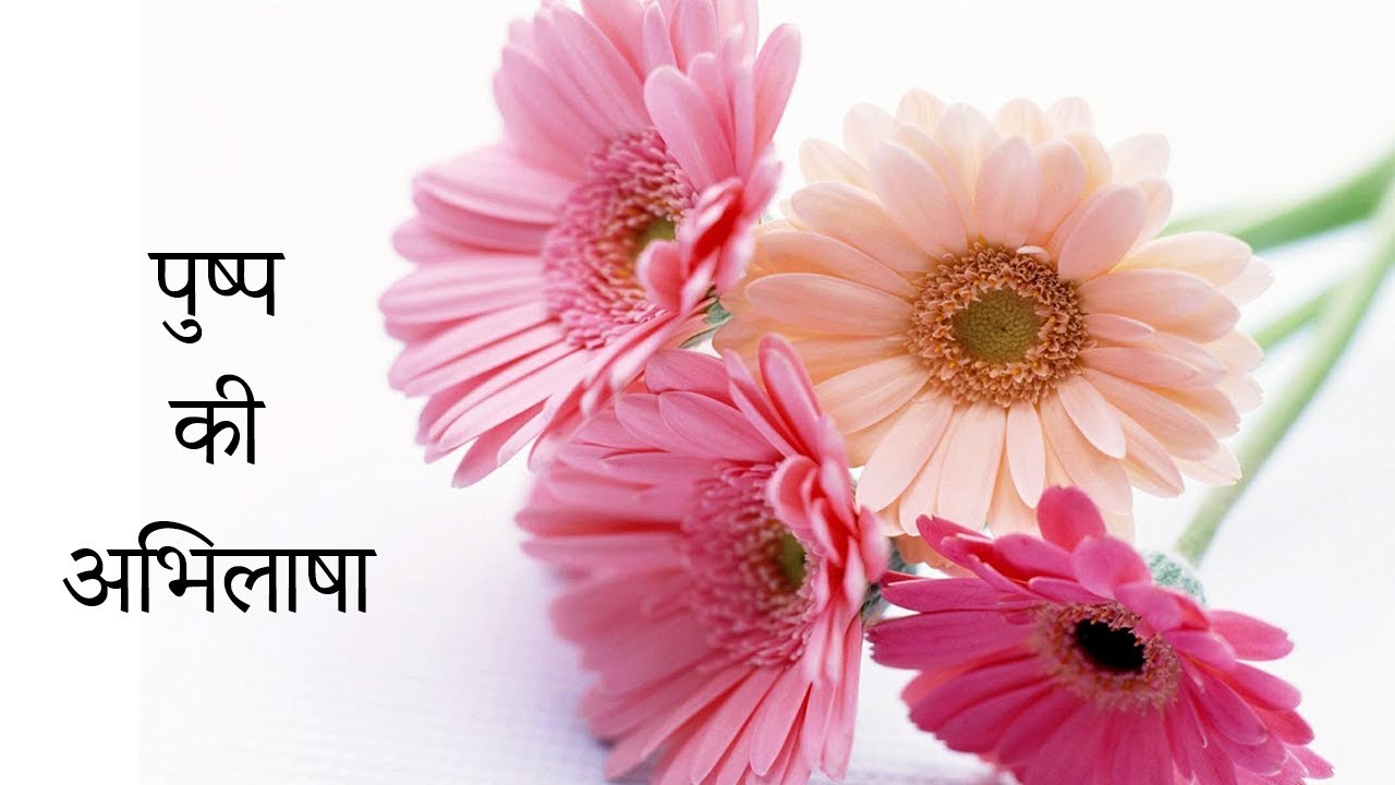 Pushp ki Abhilasha -Poem by Makhanlal Chaturvedi-Explained in Hindi-Dr ...