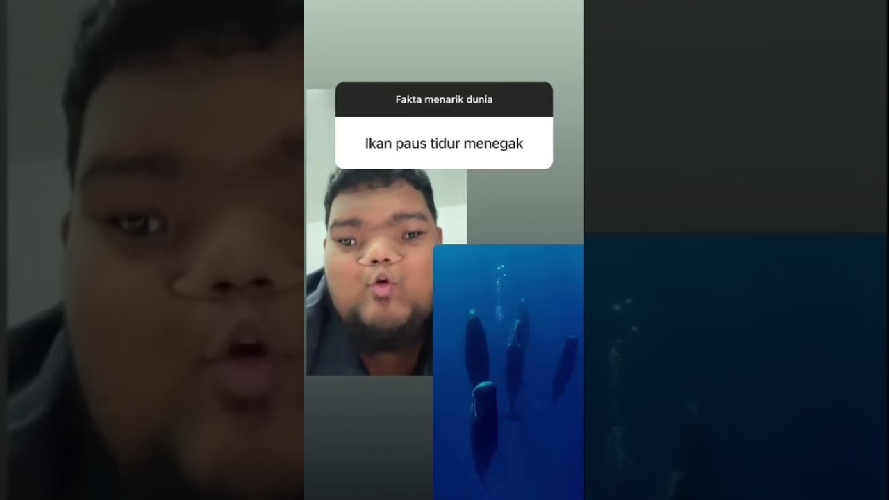 KOMPILASI LAWAK BANGMAN| AIMAN SALIM FAKTA MENARIK DUNIA PART 1 - YouTube