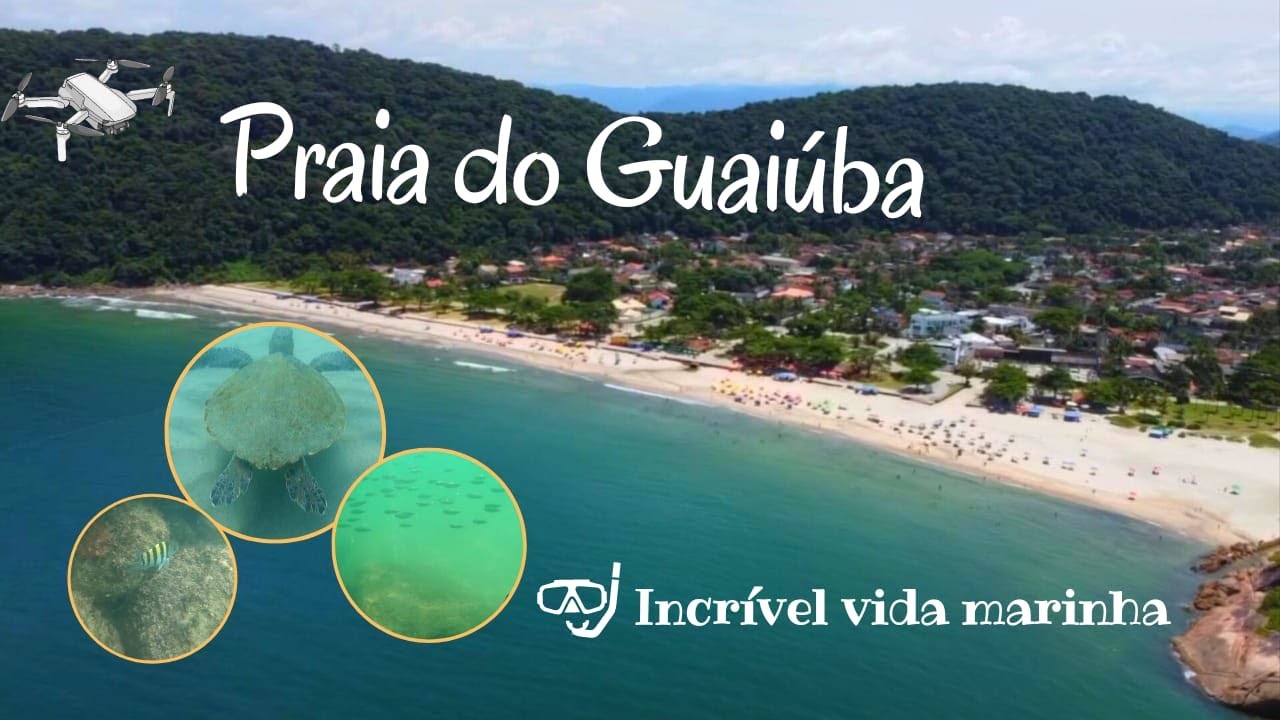 PRAIA DO GUAIÚBA 🏝🐢 Incrível vida Marinha!!! - YouTube