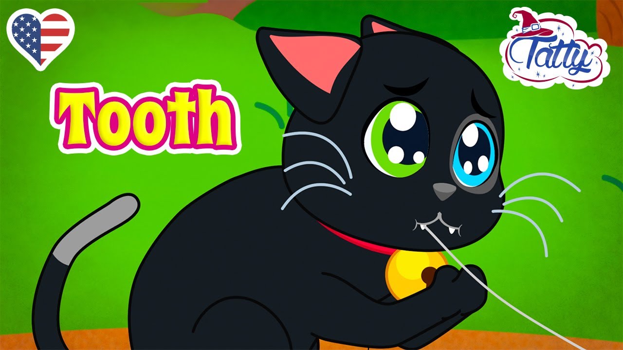 🌸🌲 The Enchanted Adventure of Tatty and Misifu 🌲🌸 Cartoons for Kids ...