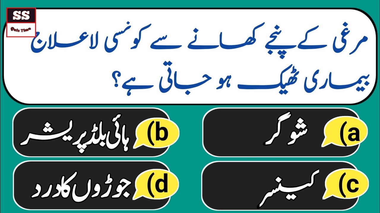 Islamic commonsense paheliyan|best Islamic questions|quiz questions ...