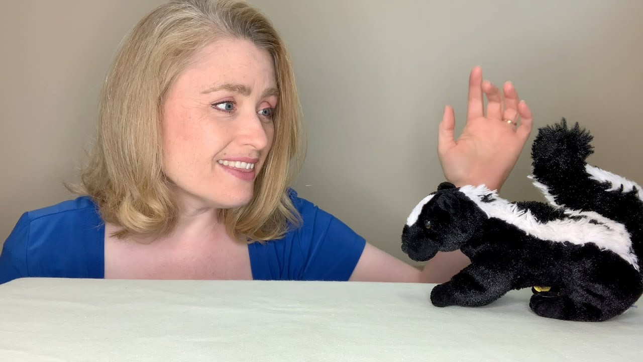 The Skunk Song - YouTube