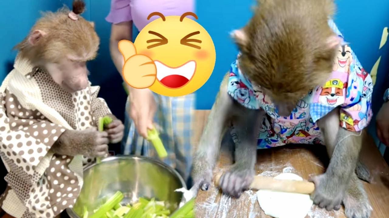 Baboon starts picking vegetables to cook 😄Monkey has become a spirit # ...