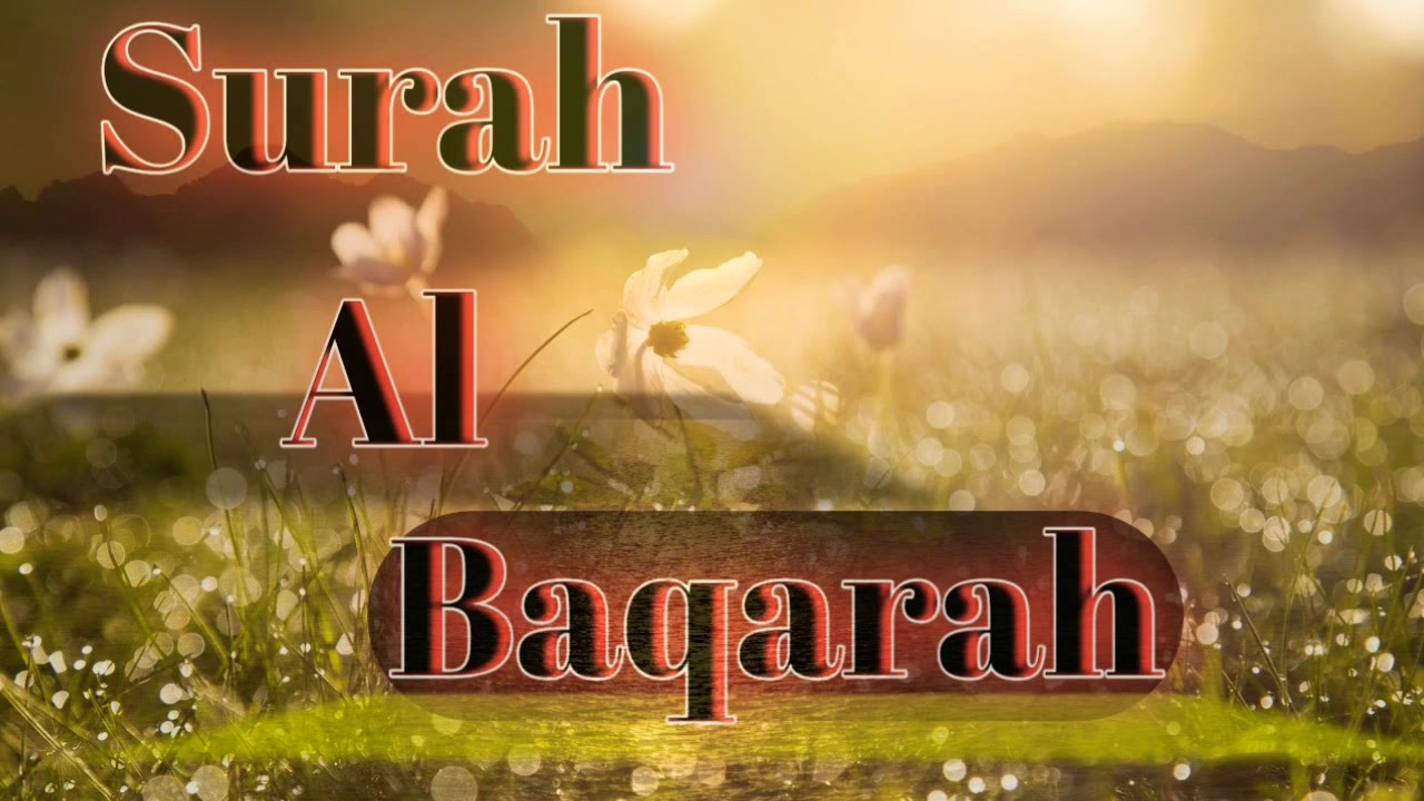 Surah Al-Baqarah " Hafez Mohammad Saiful Islam - YouTube
