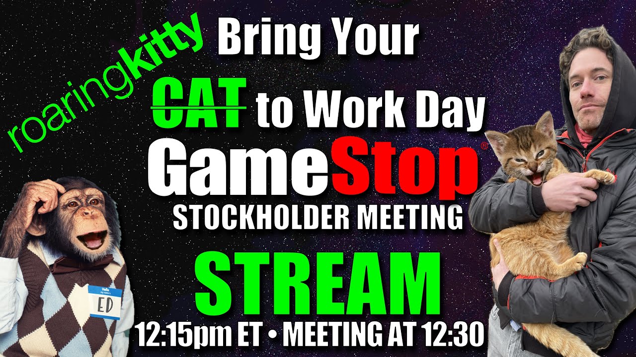 GameStop Stockholder Stream: Bring Your Cat to Work Day - YouTube