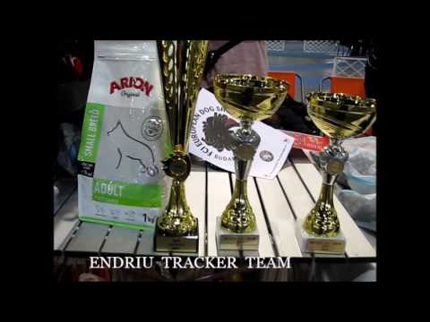 Najlepsze wyjazdy ... ENDRIU TRACKER TEAM - BUDAPESZT day 3 - YouTube