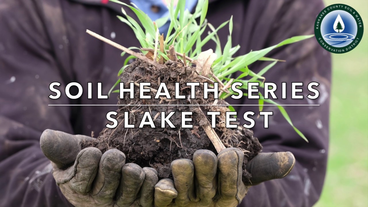 Put Your Soil to the (Slake) Test! - YouTube