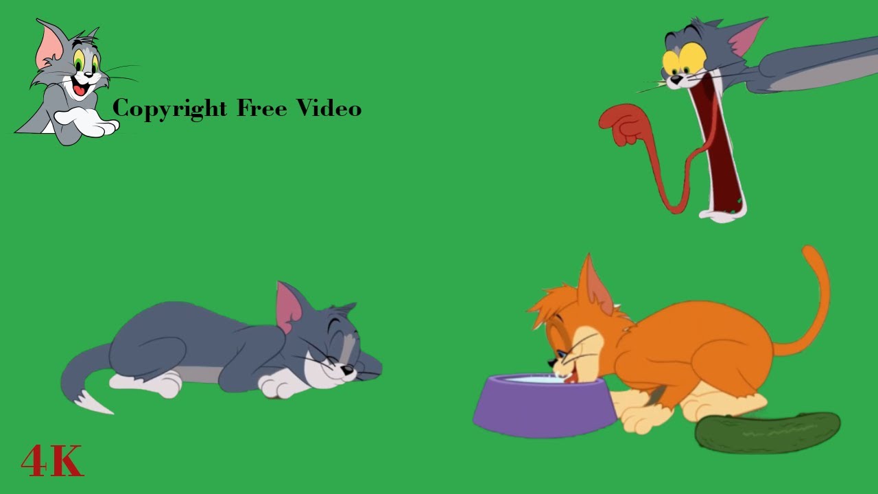 Jerry learn how to scare cats and then scare tom. #greenscreen #cartoon ...