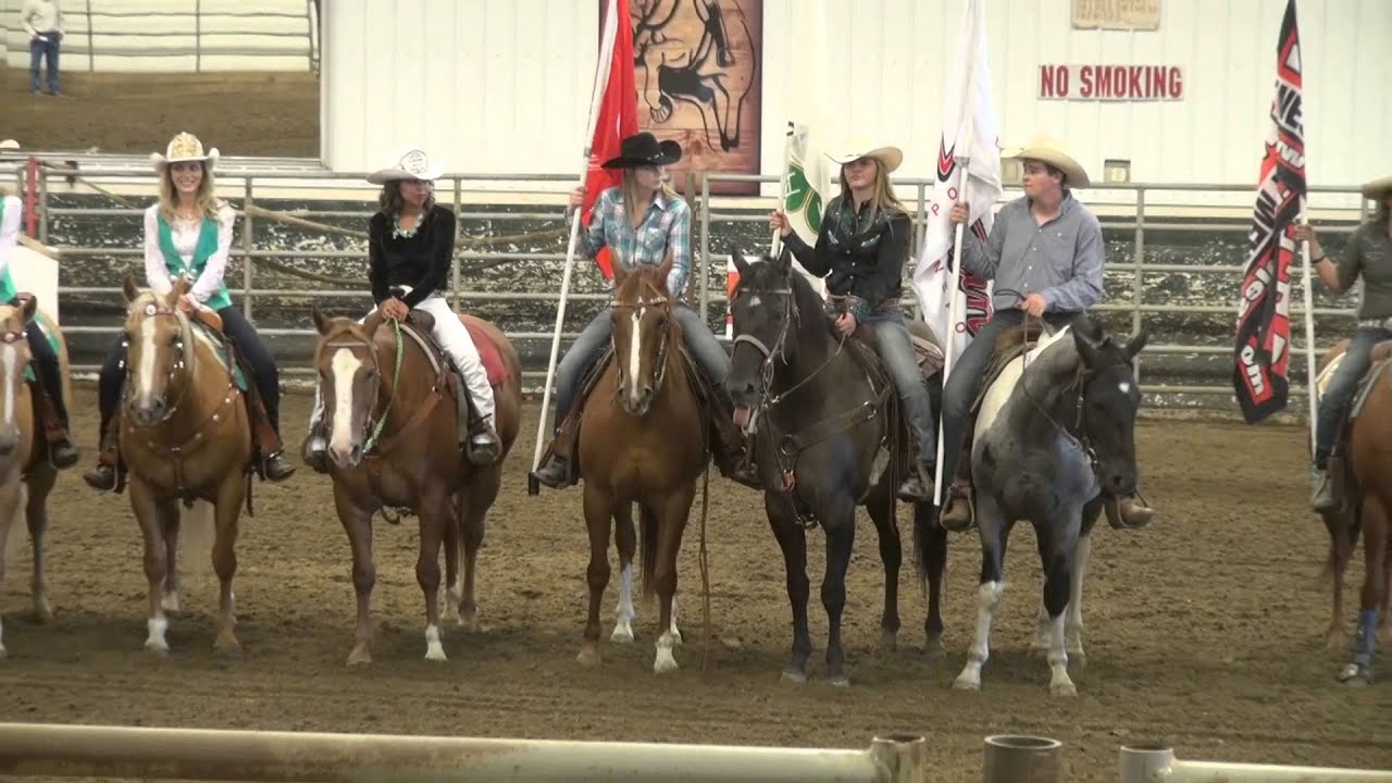 Calgary Stampede 4-H Rodeo - YouTube