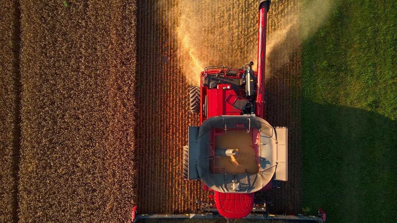 Case IH 7250 Axial - Flow Combining wheat ( Extreme Farming ) - YouTube