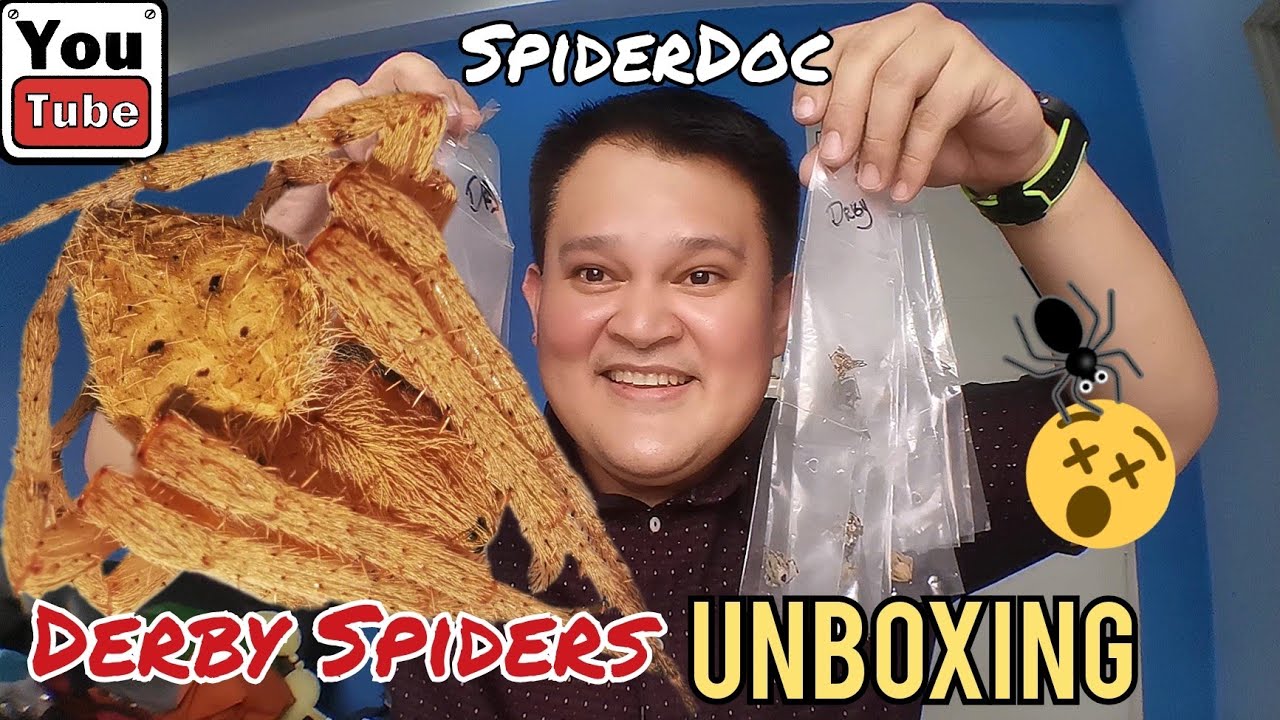 Mga Gagambang Pang Laban sa Spider Vloggers Tournament Season 7. GENSAN ...