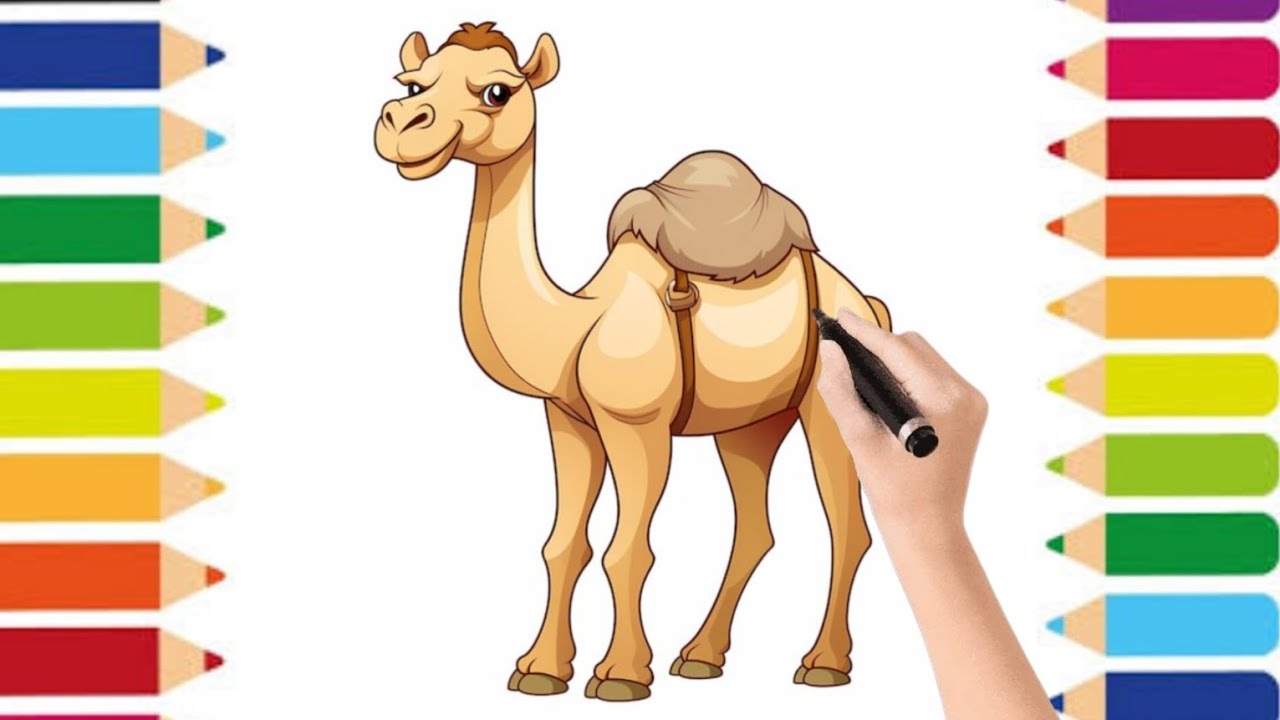 How to draw a simple and easy camel simple camel for kids| - YouTube