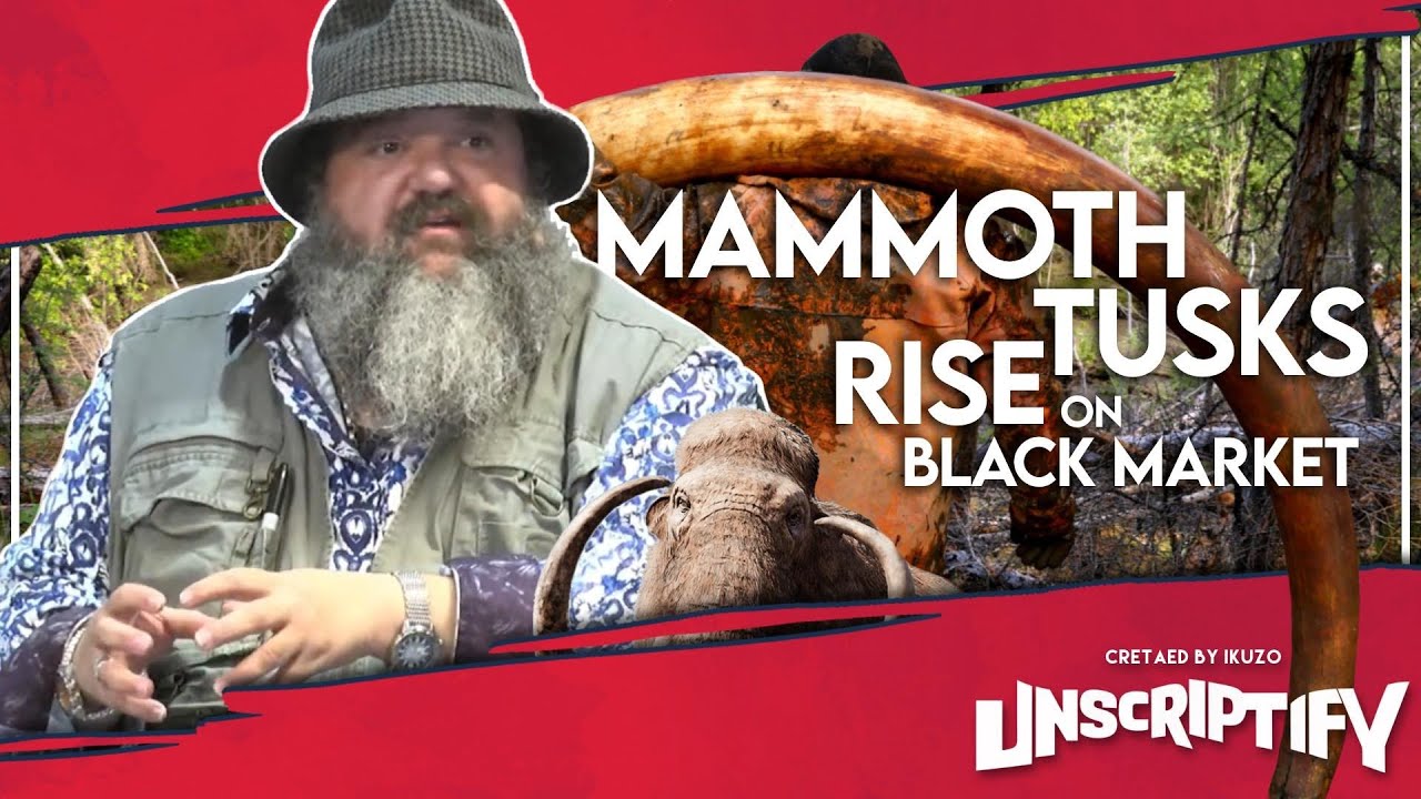 Mammoth tusk is the new ivory says Mark Loewen | Ikuzo Unscripted - YouTube