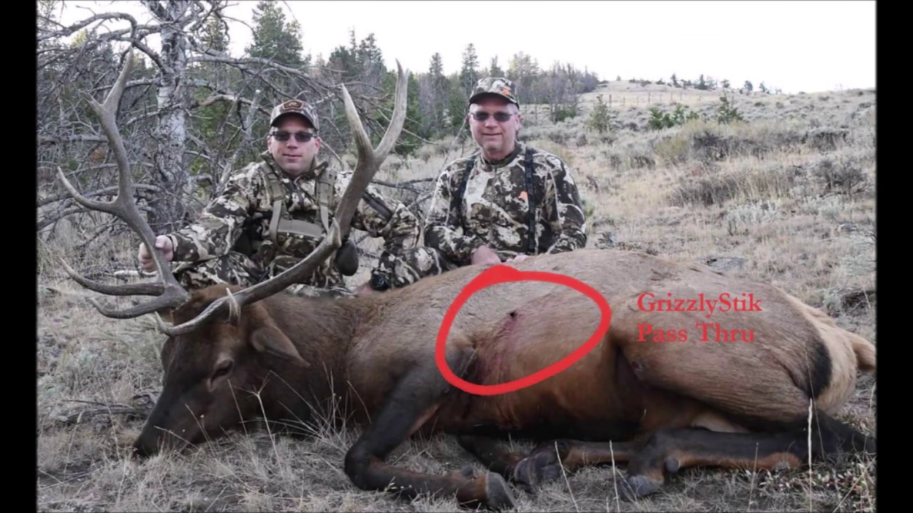 Crossbow Elk with Ashby 315 Broadhead - YouTube