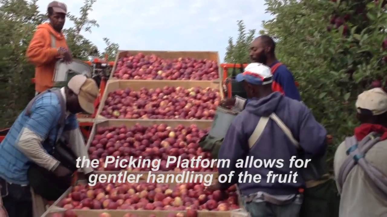 Huron Fruit Systems Picking Platform - YouTube
