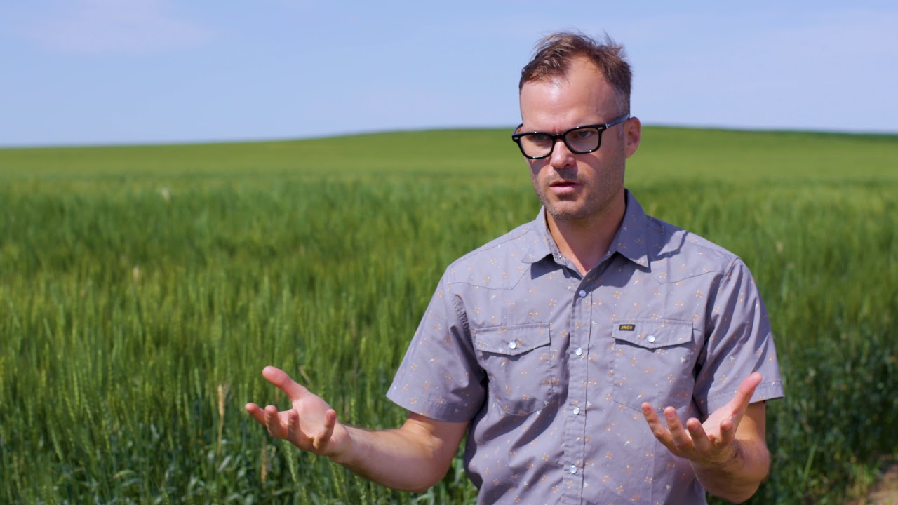 Terra Ingredients | The Terra Way - YouTube