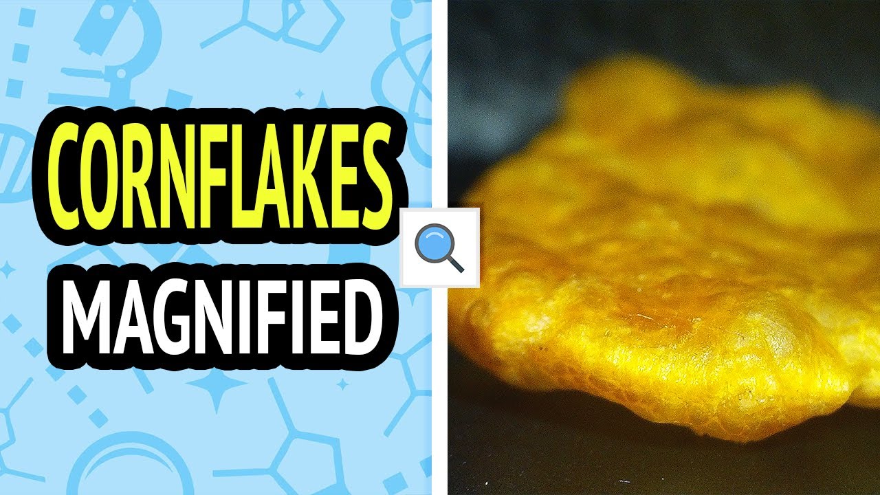 Would you EAT a CORNFLAKE After Watching This?! | Magnified Objects ...