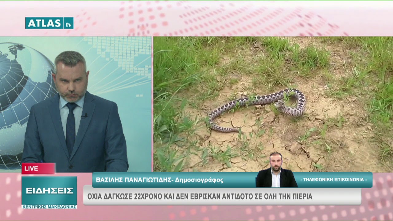 ΒΑΣΙΛΗΣ ΠΑΝΑΓΙΩΤΙΔΗΣ - ΟΧΙΑ ΔΑΓΚΩΣΕ 22ΧΡΟΝΟ ΚΑΙ ΔΕΝ ΕΒΡΙΣΚΑΝ ΑΝΤΙΔΟΤΟ ...
