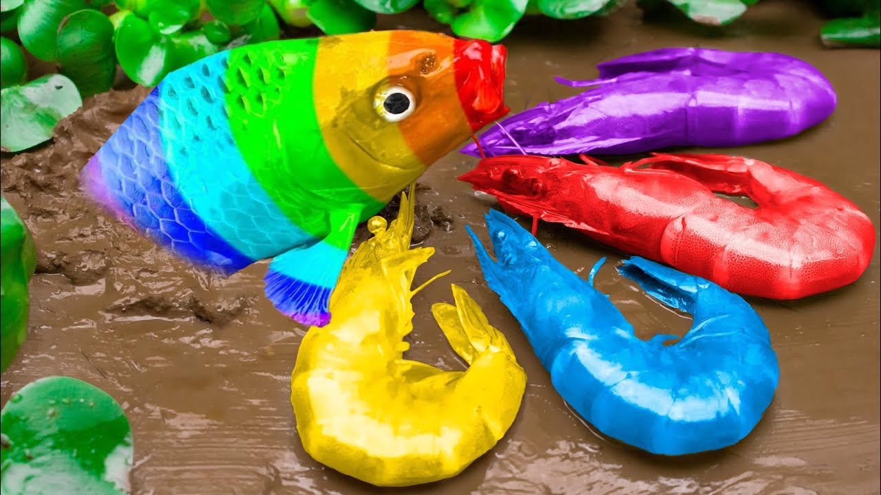 Colorful Koi fish rescue all species from mutant monsters | Stop motion ...