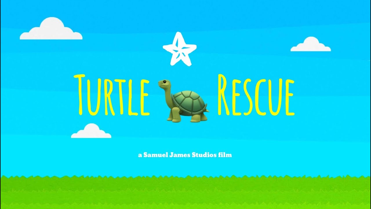 Turtle Rescue stop motion video - YouTube